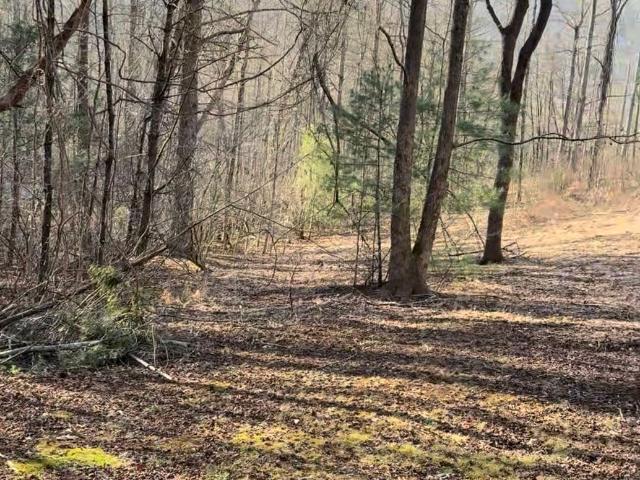 LOT 6D Meadow View Lane