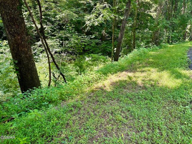LOT 706A School House Gap Road