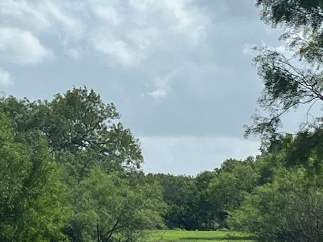 LOT 707 Deer Trail