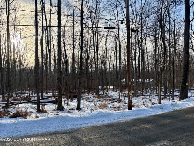 Lot 701 Tahoe Ln, Henryville, PA 18332 | MLS #PM 138018