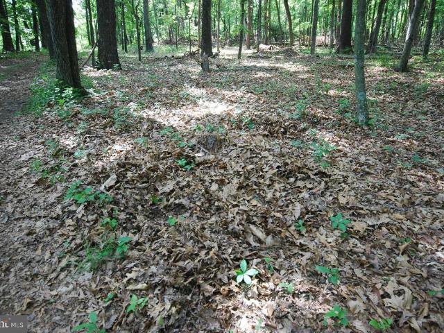 Lot 70 & 71 Mill Mountain Road