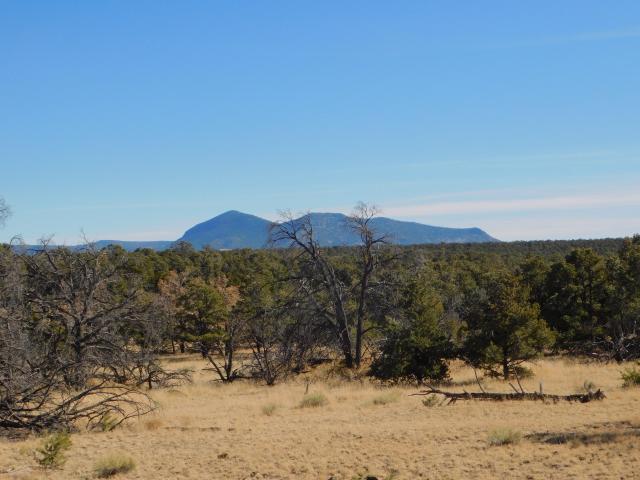 Lot 70 Creekside Drive