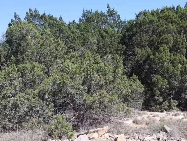 Lot 70 Golf Dr, Spring Branch, TX 78070 MLS 89586