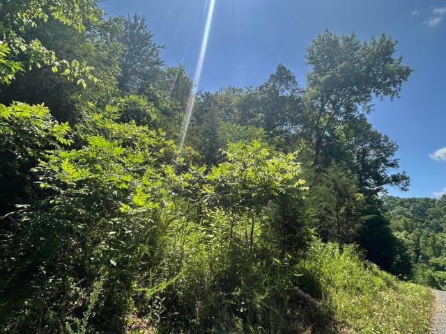 Lot 714 Russell Brothers Rd
