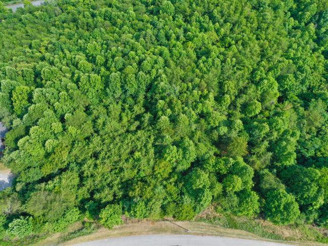Lot 713 Whistle Valley Road