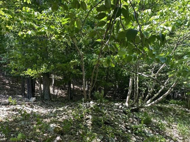 Lot 71 Eagle Path