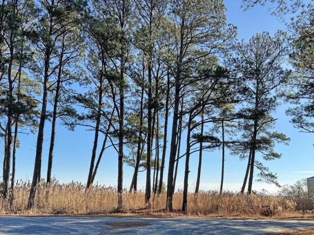 Lot 720 Castaway Drive