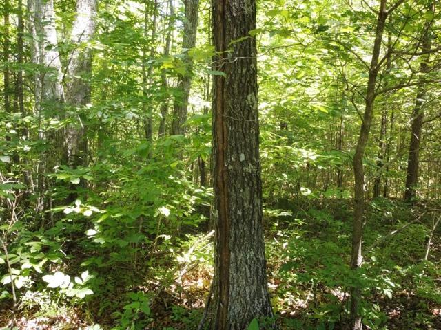 Lot 72 Camp Creek Rd