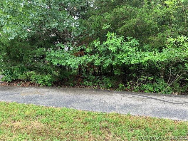 Lot 736 Linn Creek Road