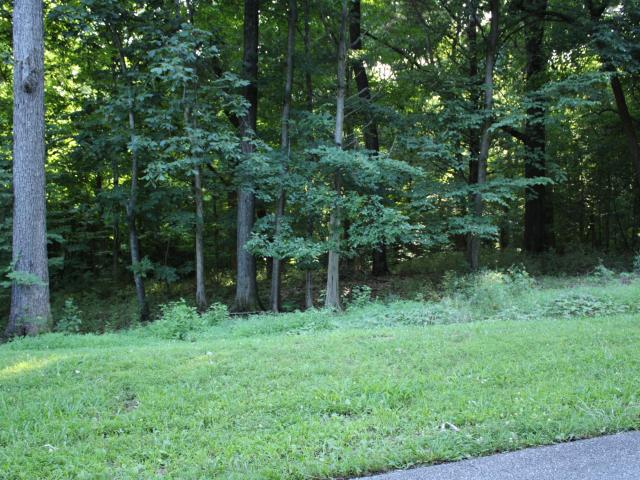 Lot #73 & #74 Rolling Mill Road