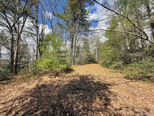 Lot 73.9 Pine Rd, Glen Spey, NY 12737 | MLS #987458 | Compass