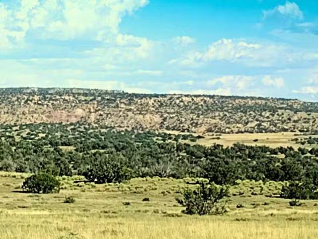 Lot 746 Woodland Valley Ranch, Saint Johns, AZ 85936 MLS 252.