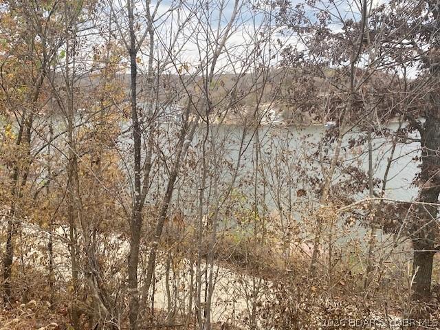 Lot 74 Eagle Bay Dr, Gravois Mills, MO 65037 | MLS #3584