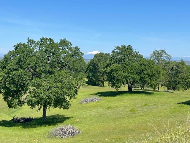 Lot 75 river downs way