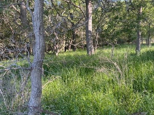 Lot 768 Kaukonahua Ln