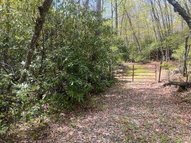 LOT 76 Cove Creek