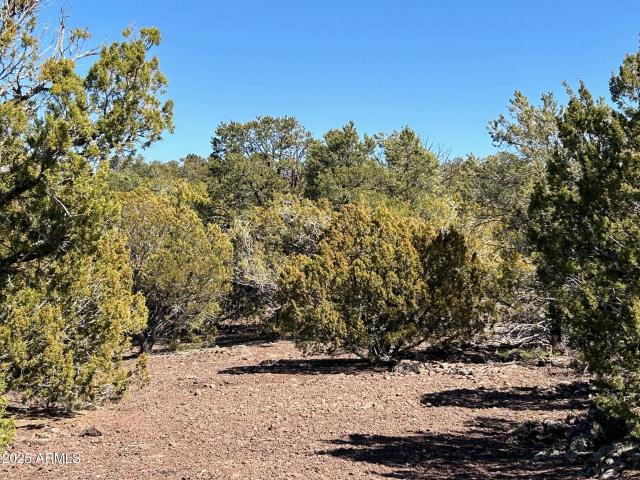 Lot 76 Dolly Dr, Unit 76, Vernon, AZ 85940 | MLS #6838