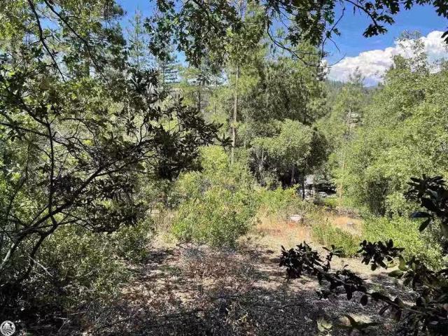 Lot 76 Skyline, Tuolumne, CA 95379 658925255