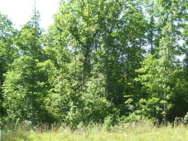 Lot 76 Parkstown Road