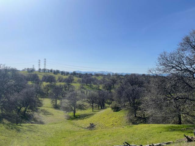 LOT 76 River Downs Way