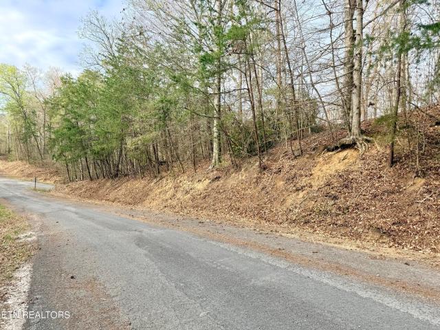 Lot 77 Grandpas Ridge