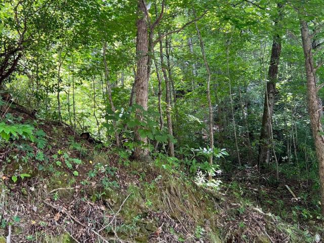 Lot 77 Fires Creek Cove # 77