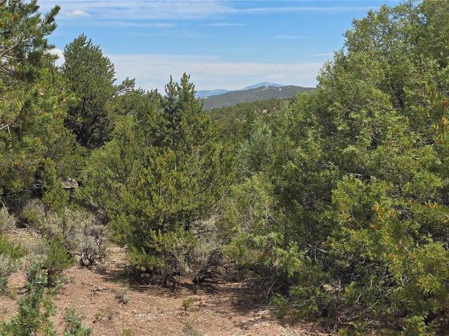 Lot 7892 Tiernan Road