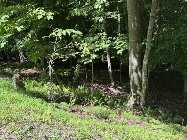 LOT 780 Omen Circle