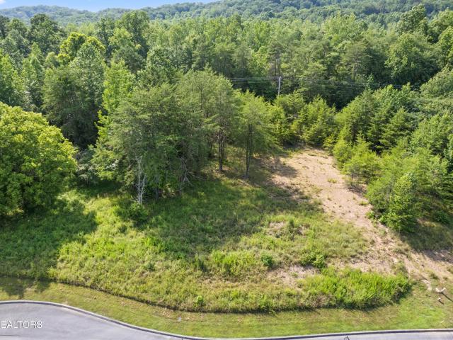 Lot 78 Creekside Drive, Harriman, TN 37748