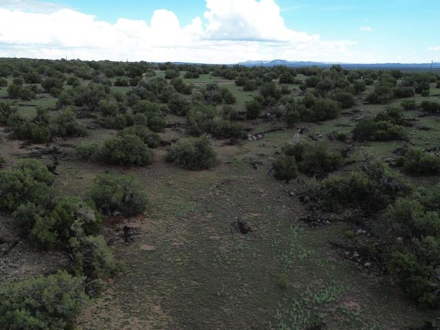Lot 78 big chief rd