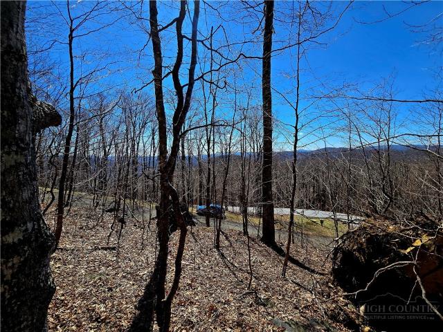 Lot 78 Elk Creek Mountain Parkway