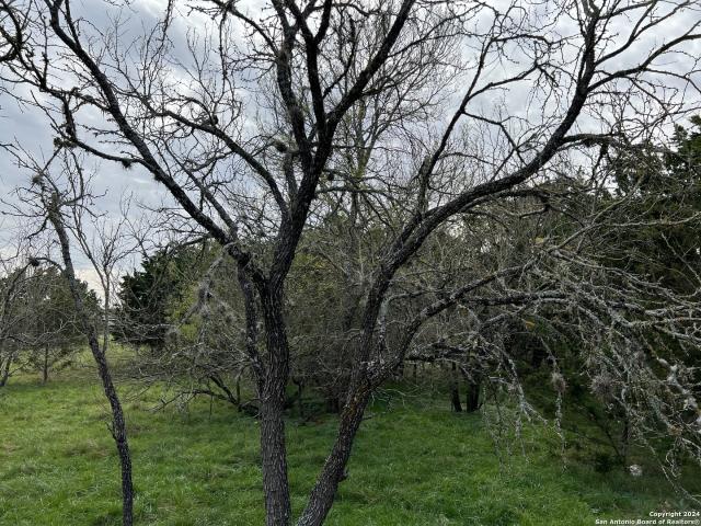Lot 78 Lake Medina Shores, Bandera, TX 78003 | MLS #1880