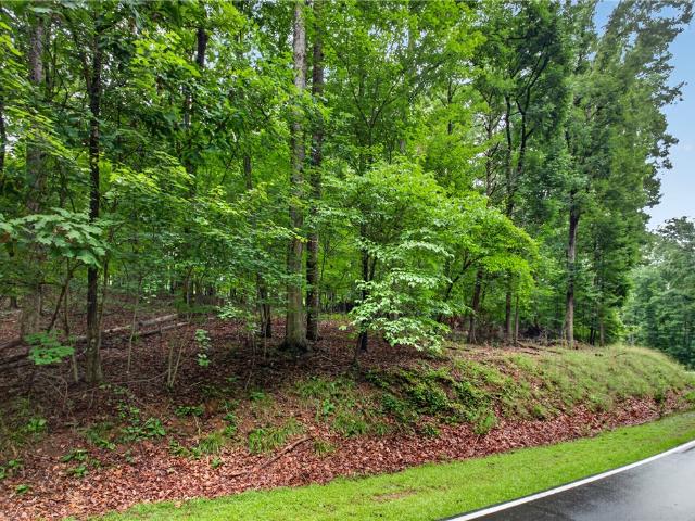 Lot 790 S Hogan Drive