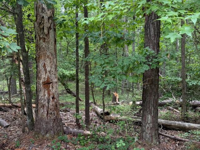 LOT 79 Island Creek Drive