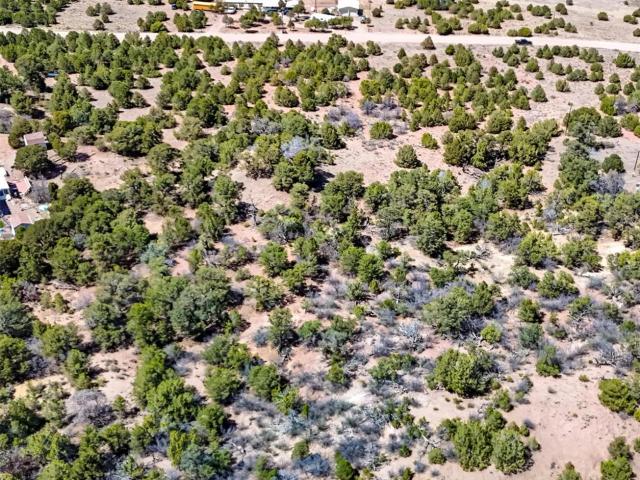 Lot 79 Navajo Ranch Resorts