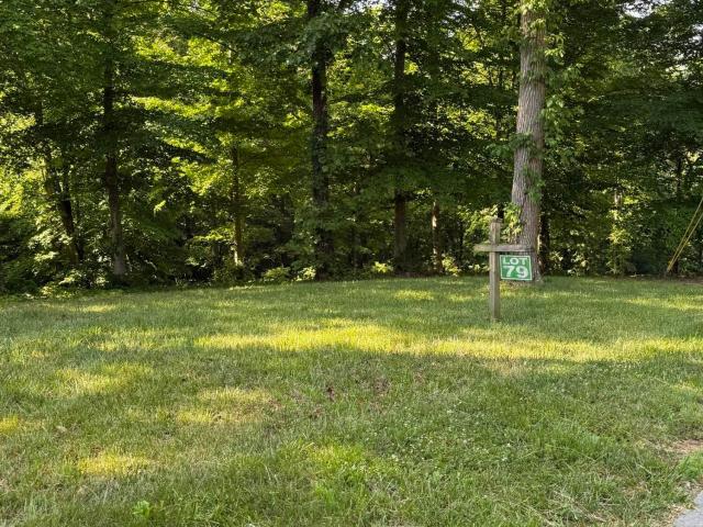 Lot 79 Pinnacle Pointe Way