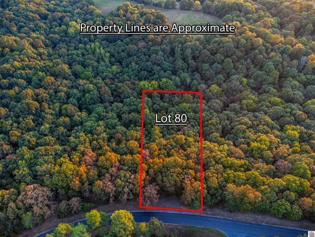 Lot 79b & 80 Waterfowl Road