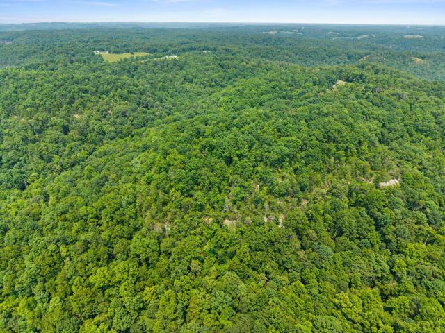 Lot 80, 315 Oak Hill Drive