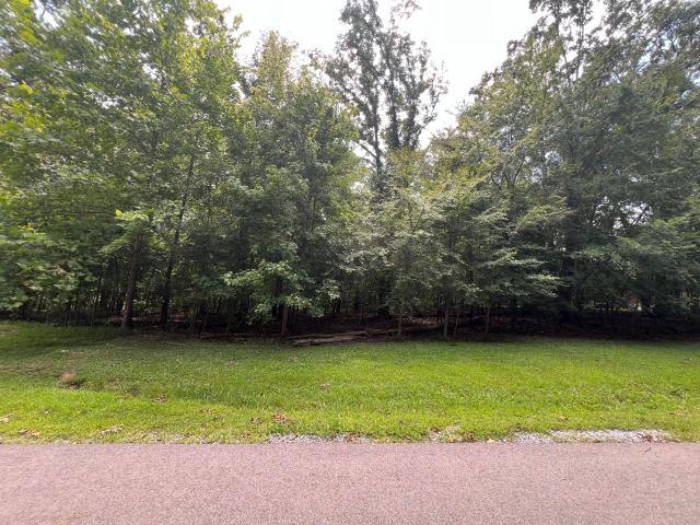 Lot 80 Cliffwood Lane