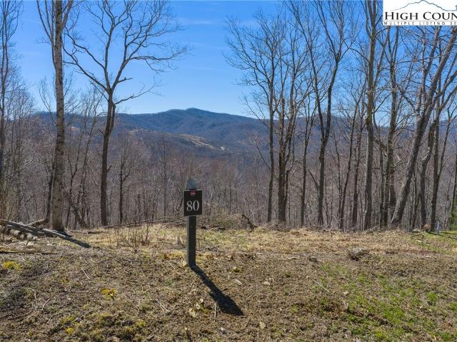 Lot 80 Bear Paw Road