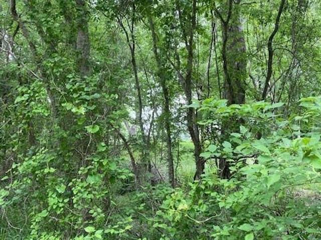 Lot 812 Kaukonahua Ln