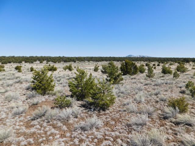 LOT 81 Artesian Avenue