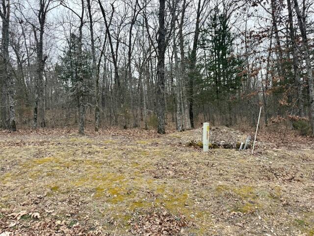 Lot 81 Green Cypress Lane