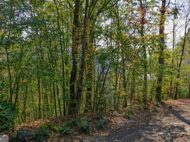 LOT 81 Lillie Drive