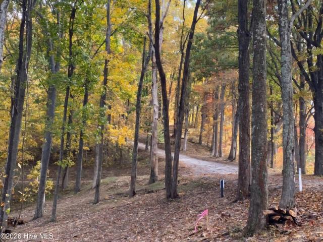 Lot 81 Scenic Mountain Way