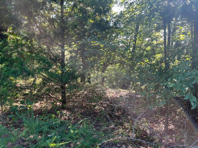 Lot 81 Waterfowl Road
