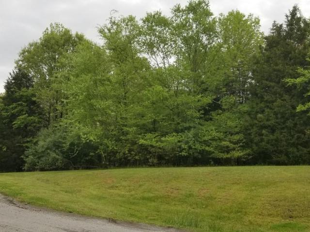 Lot 82 & 83 Saluki Way