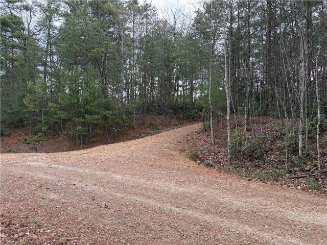 Lot 82 Deer Antler Drive