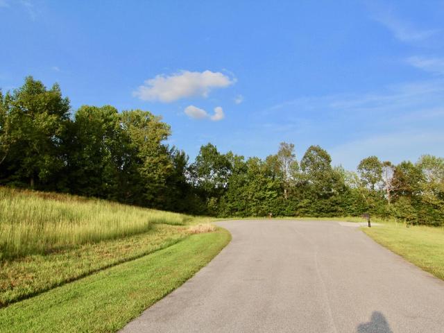 Lot 82 Kelsey Joe Lane