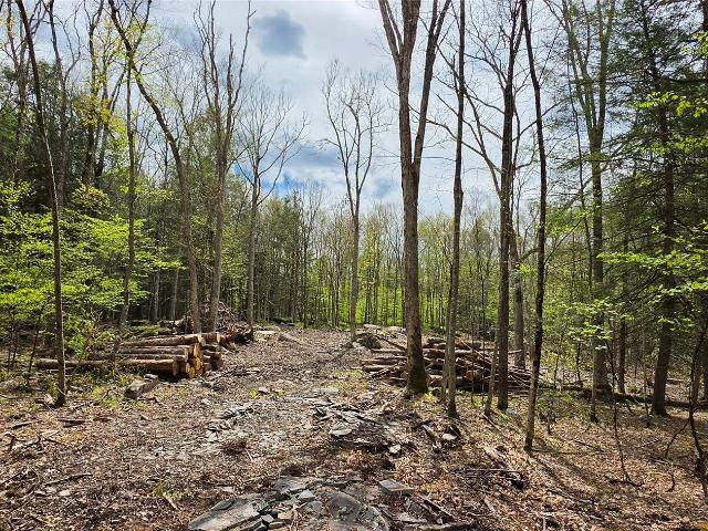Lot 82 Perry Pond Road
